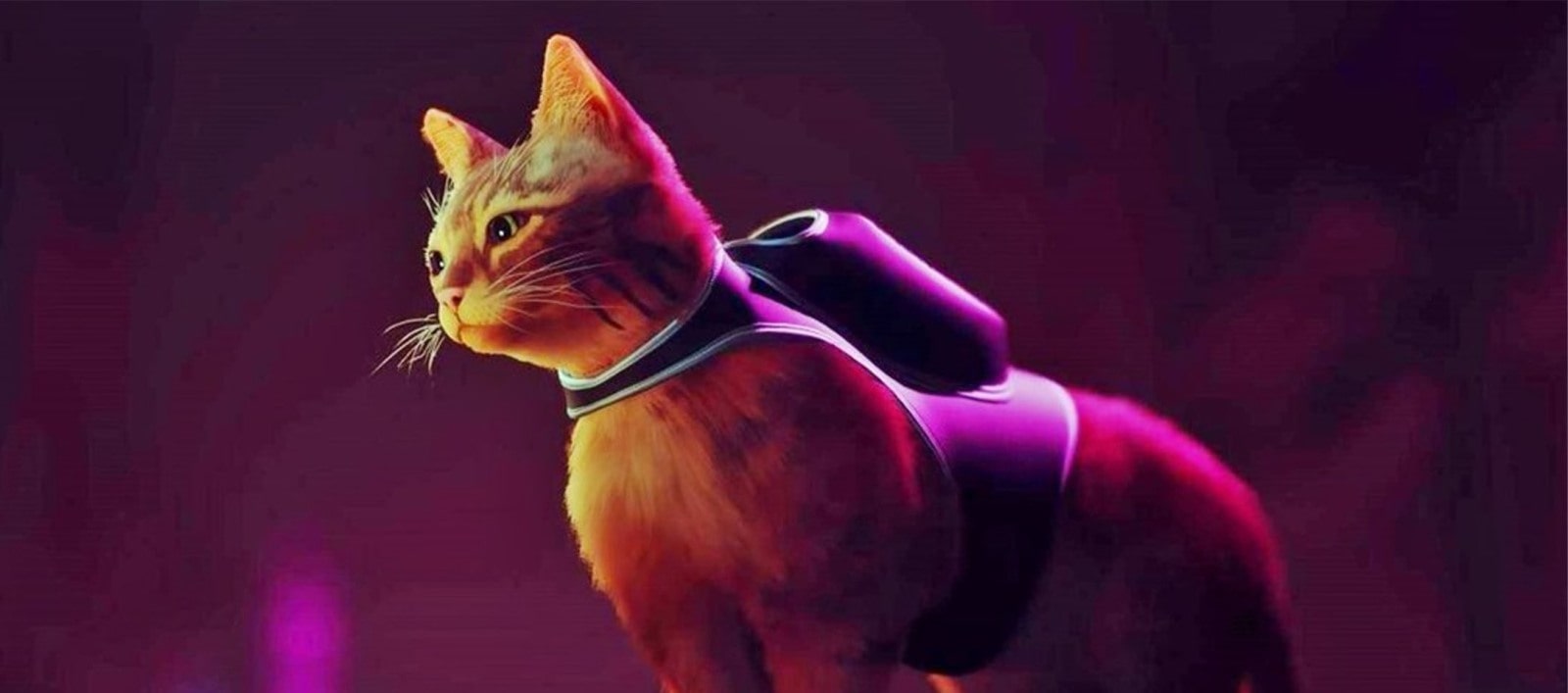 Stray Review - GameUtha.com